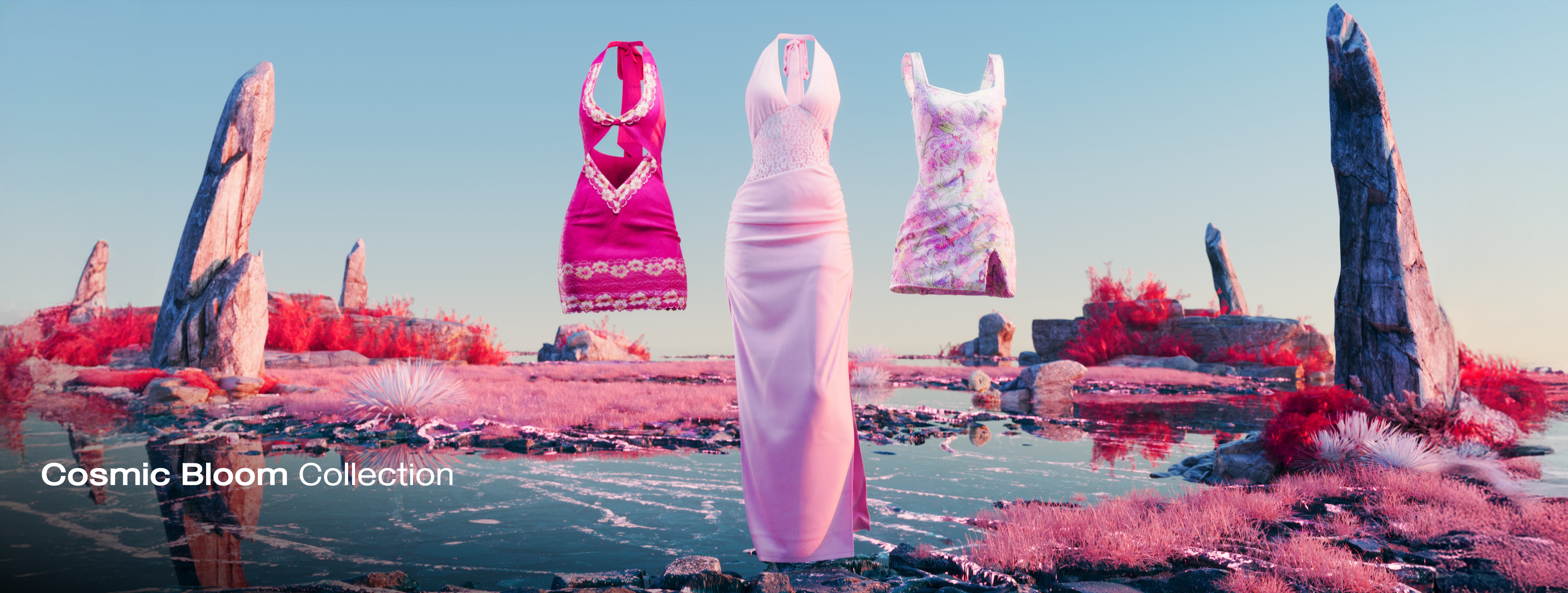 Cosmic Bloom – FINESSE